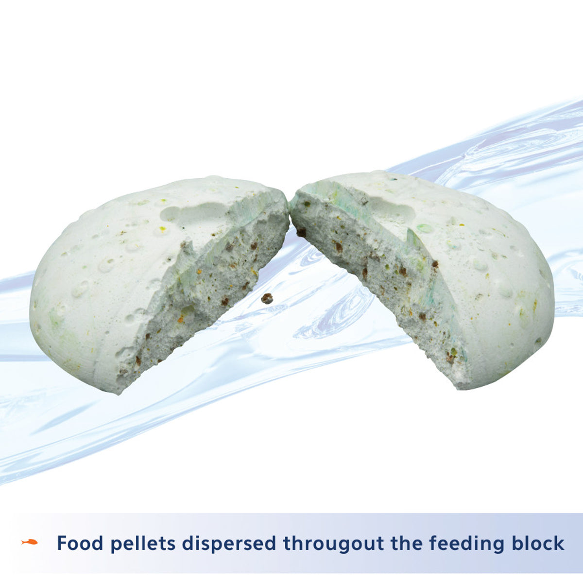 Aqueon 7-Day Fish Food Feeder | ASAP Aquarium