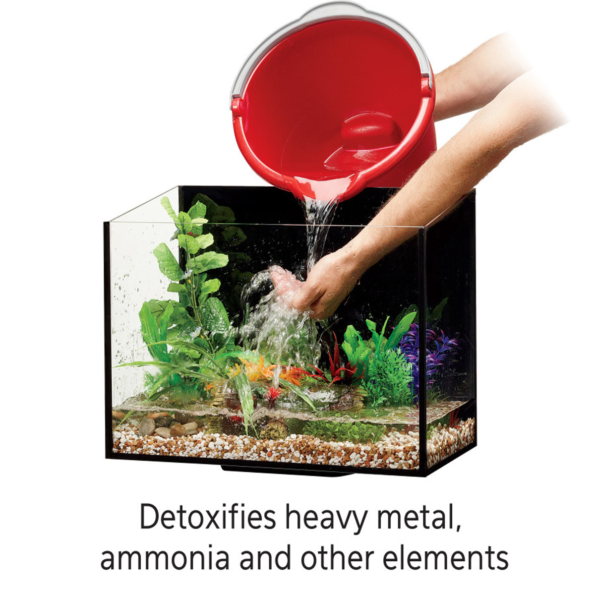 Aqueon Betta Bowl Plus 4 oz | ASAP Aquarium
