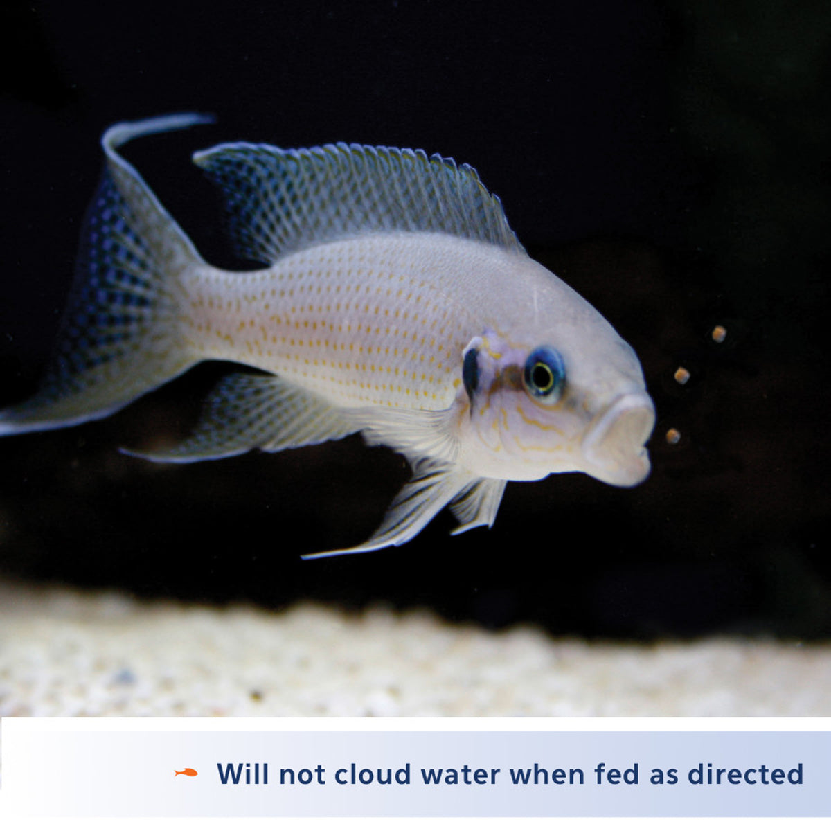 Aqueon Color Enhancing Cichlid Pellets Mini 4.5 oz | ASAP Aquarium