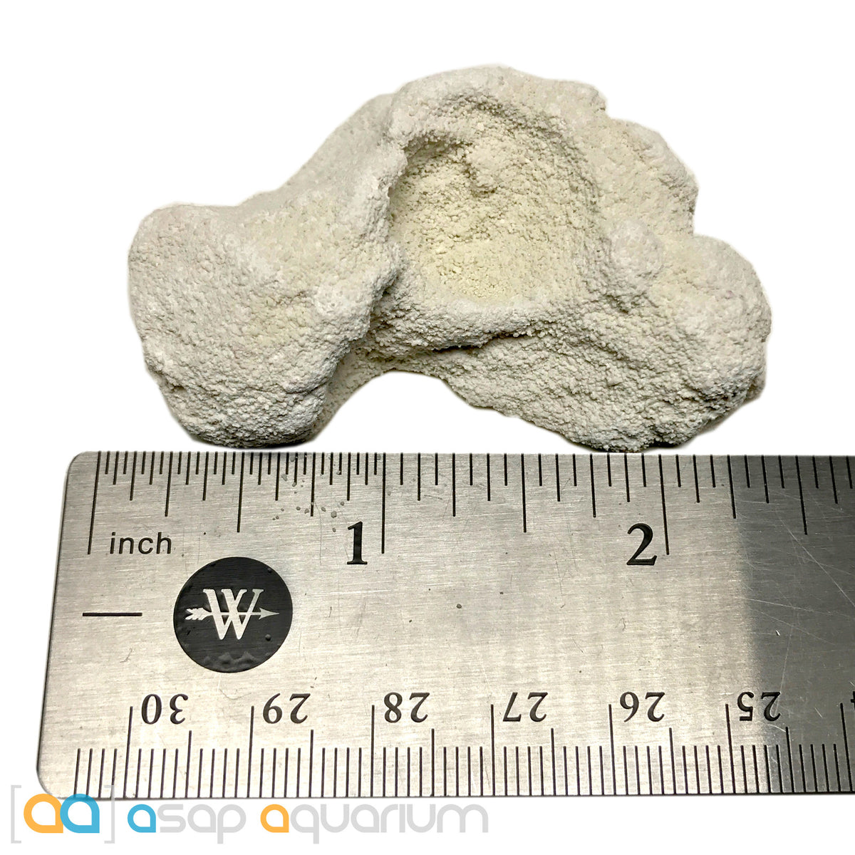 10 Reef Rock Frag Plugs Cured for Live Coral Propagation | ASAP Aquarium