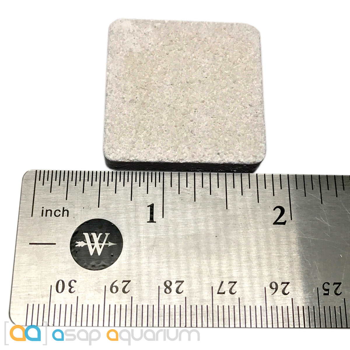 10 Reef Frag Tiles Cured for Live Coral Propagation | ASAP Aquarium
