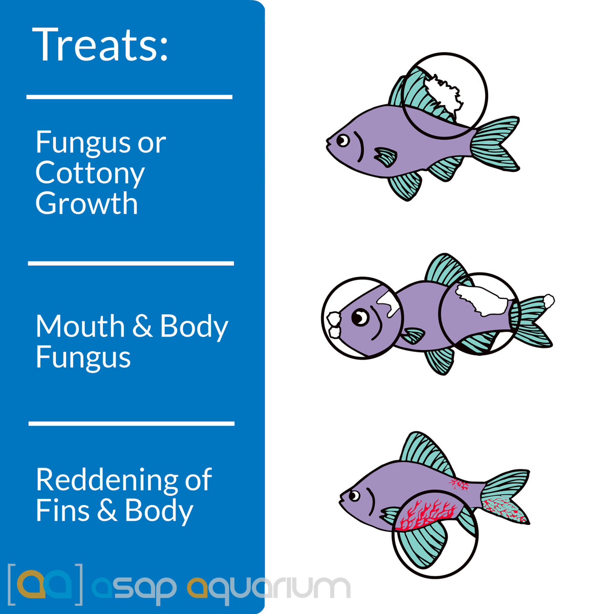 API PimaFix 16oz. | ASAP Aquarium